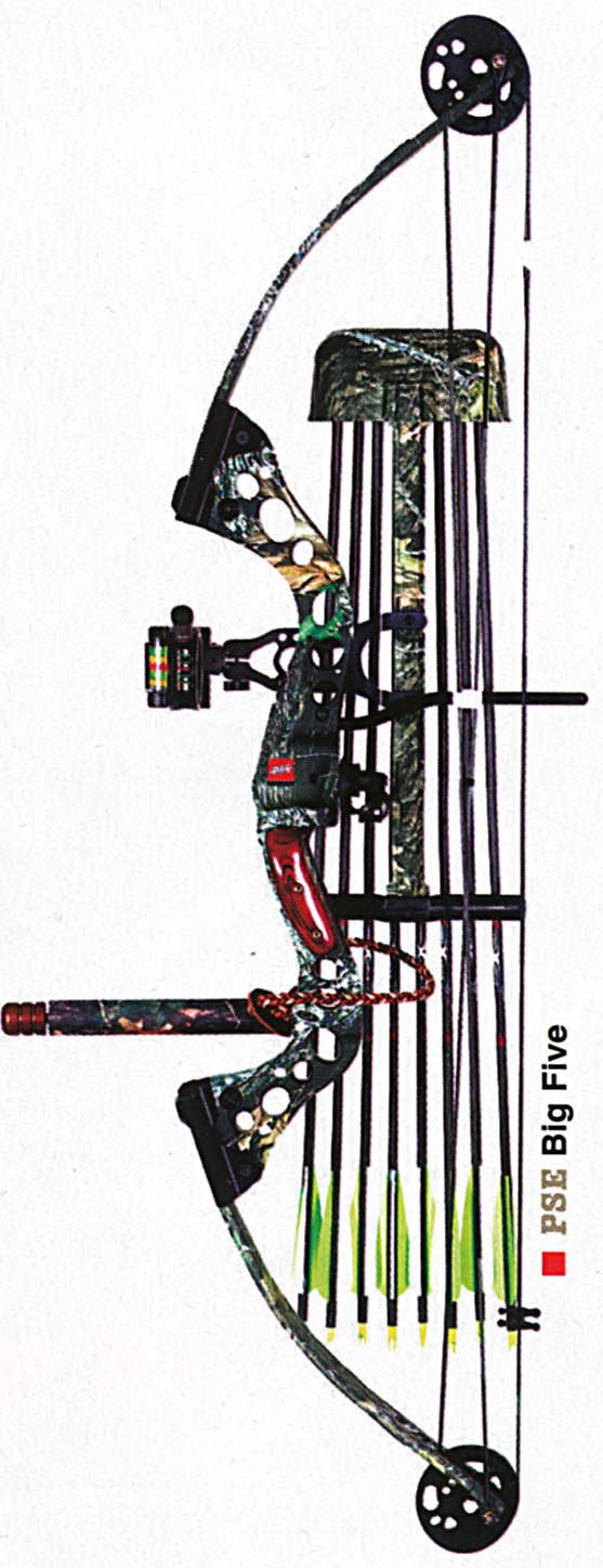 2006 Diamond Rapture Lite