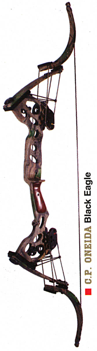 2006 C.P. Oneida Black Eagle