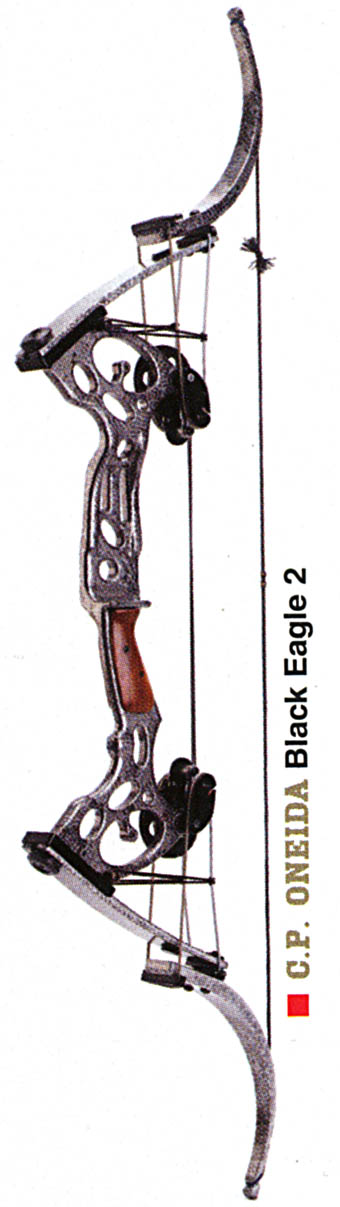 2006 C.P. Oneida Black Eagle 2