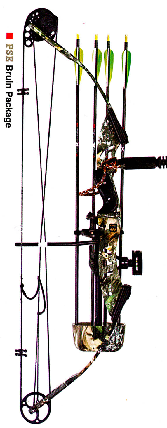 2006 PSE Bruin Package